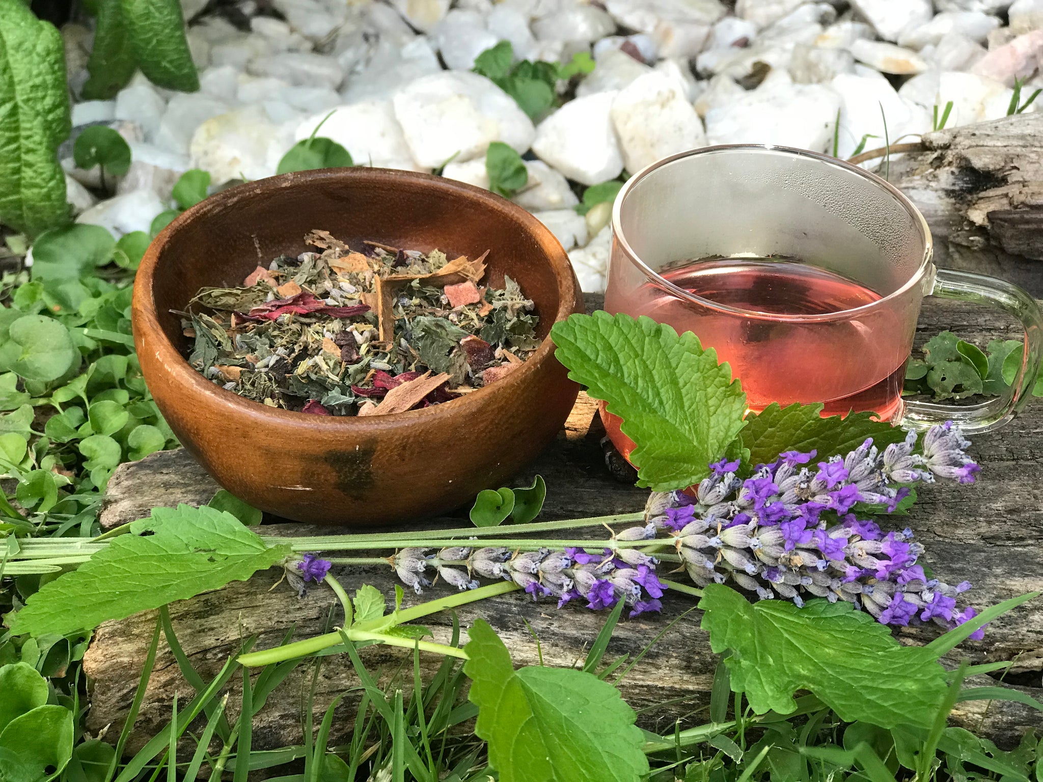 Flor de Té Guatemala – Flor de Té! Guatemala