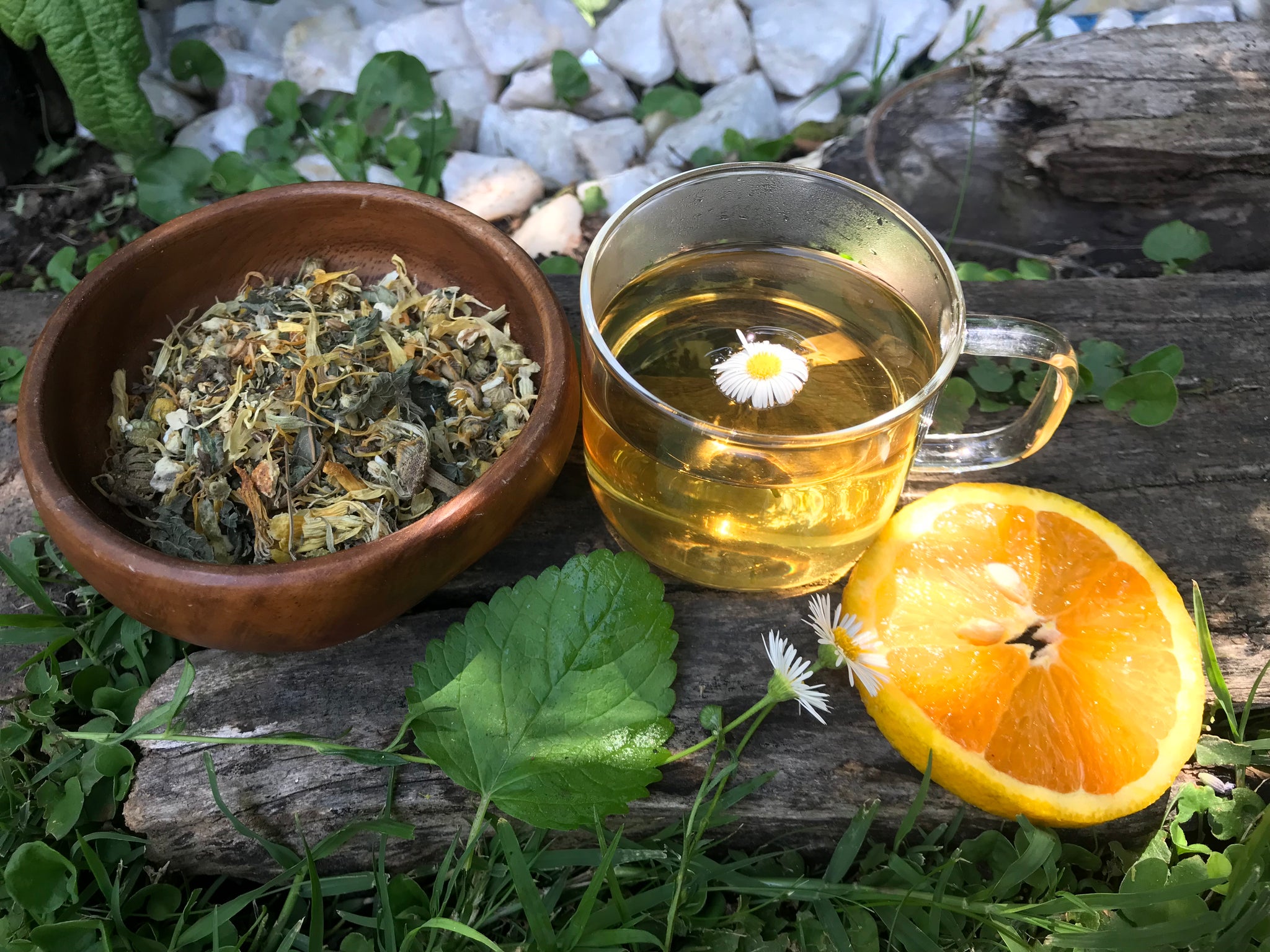 Flor de Té Guatemala – Flor de Té! Guatemala