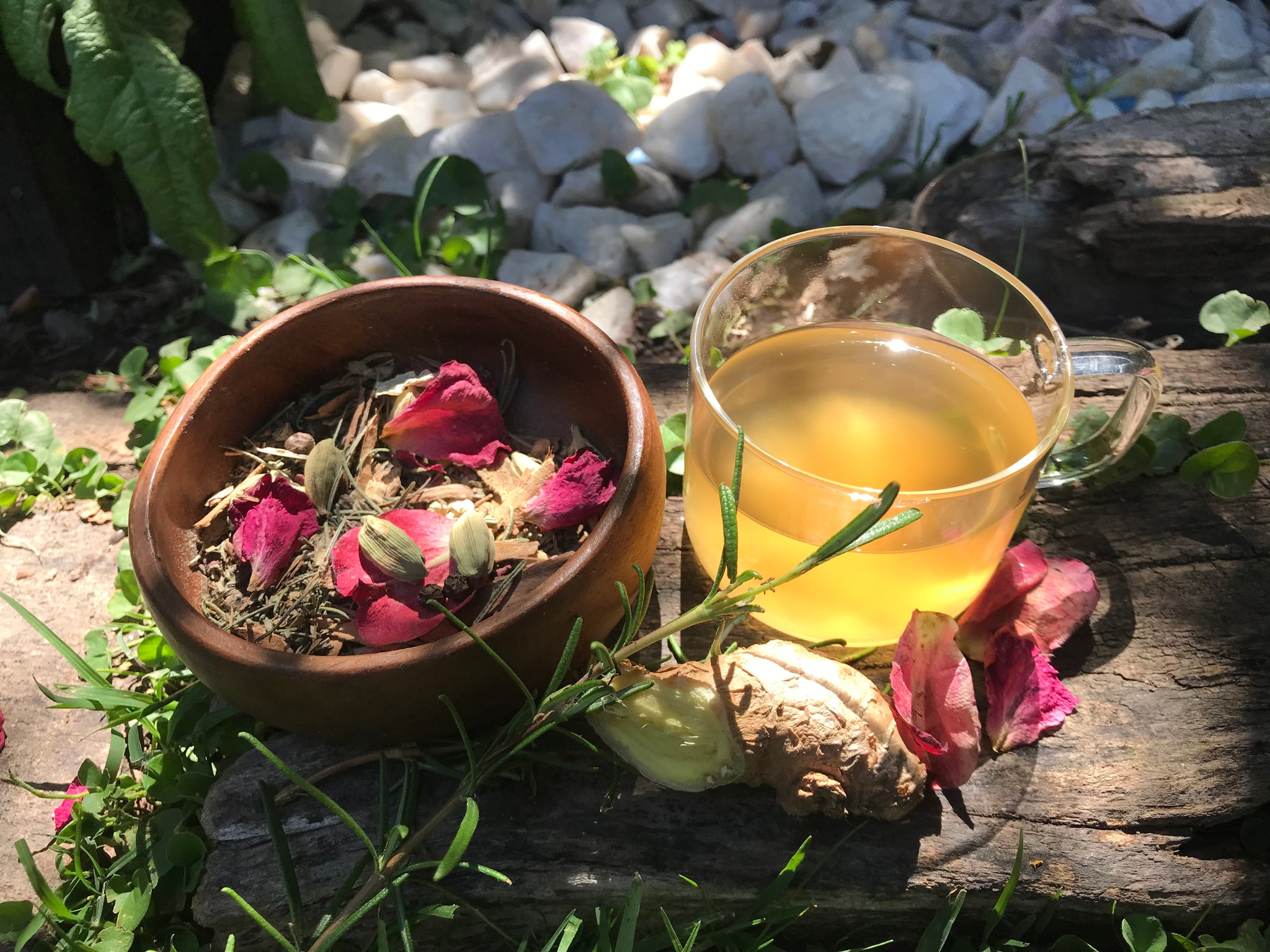 Flor de Té Guatemala – Flor de Té! Guatemala